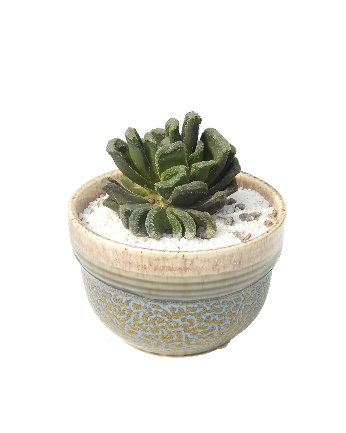 4 – Rimba Garden Central