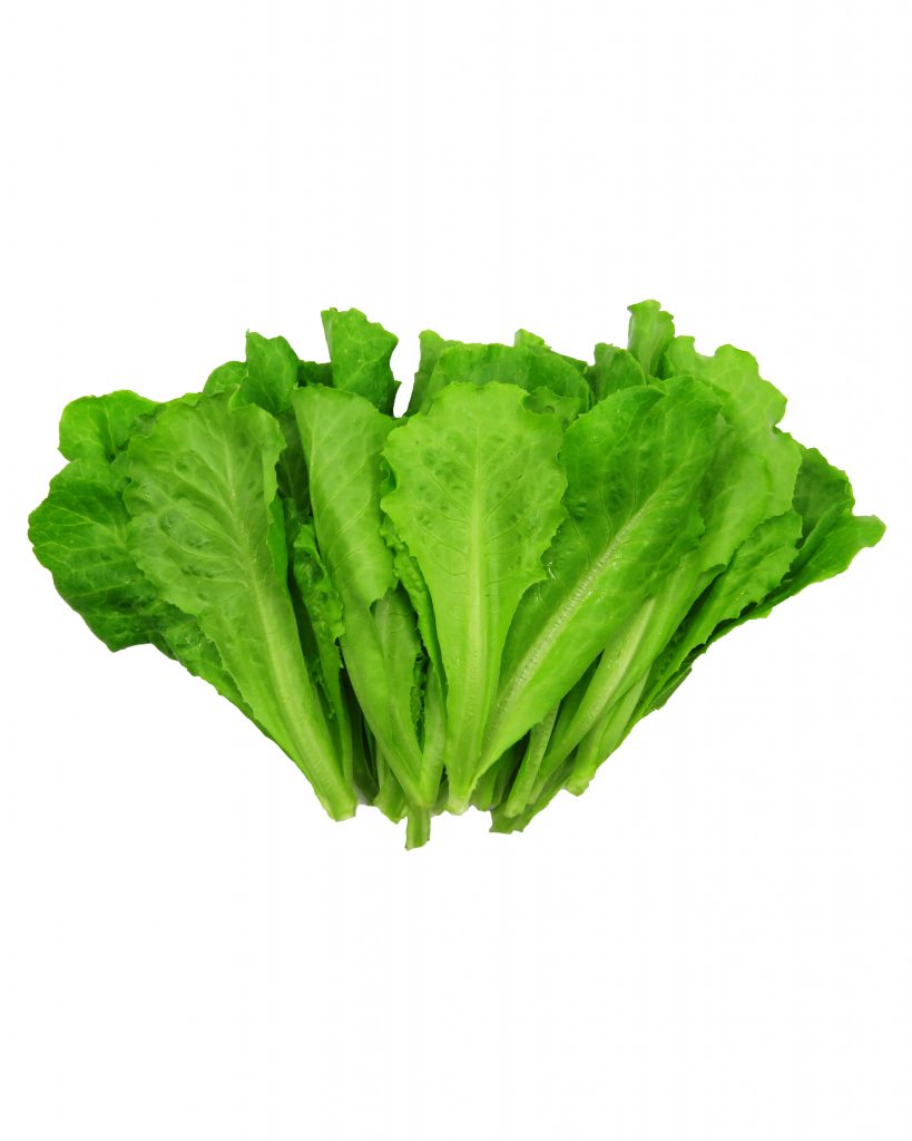 Food Commodities – Rimba Garden Central